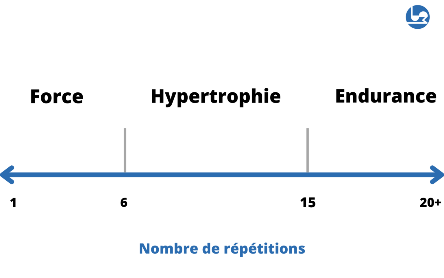 Hypertrophie myofibrillaire : comment gagner en volume et en force